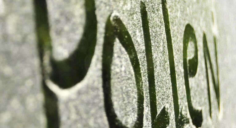 How to Get Pollen Off Car