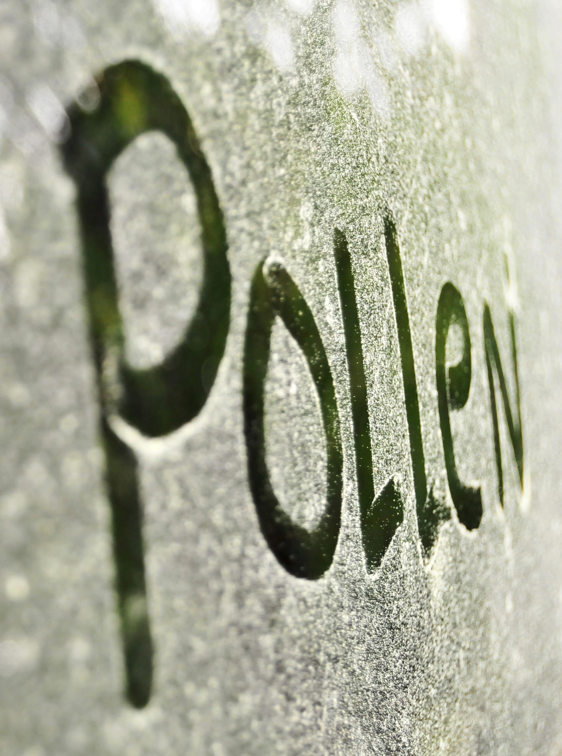 How to Get Pollen Off Car